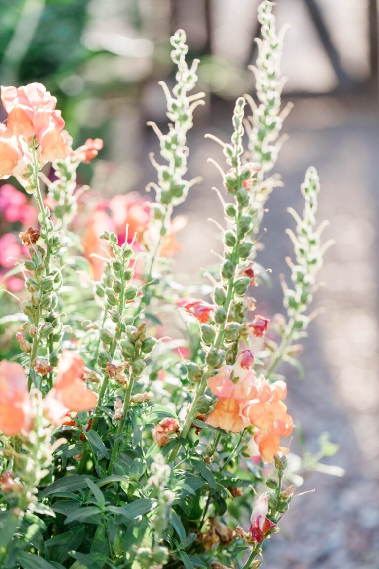 Discover Beautiful Poems About Life - Mamas Find Your Voice